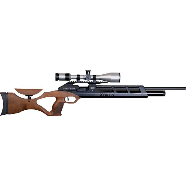 Steyr Air Rifles